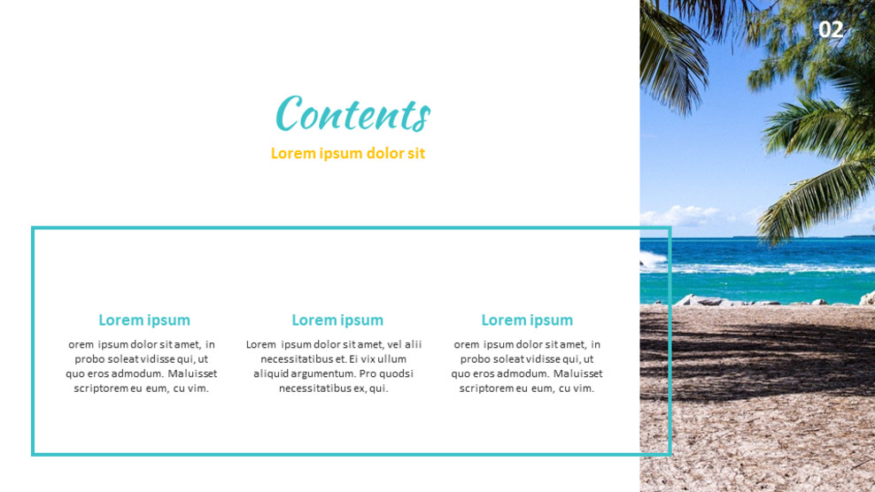 Summer Vacation Presentation Format