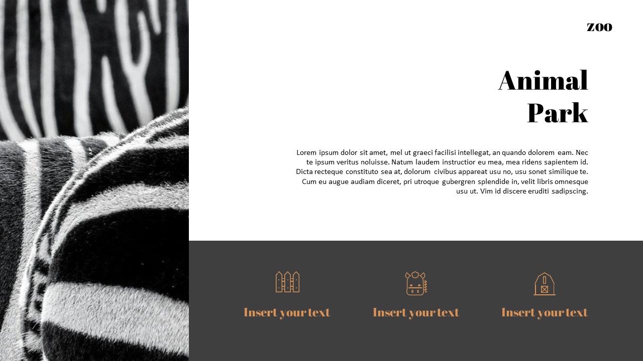 Zoo Google Slides Templates for Your Next Presentation