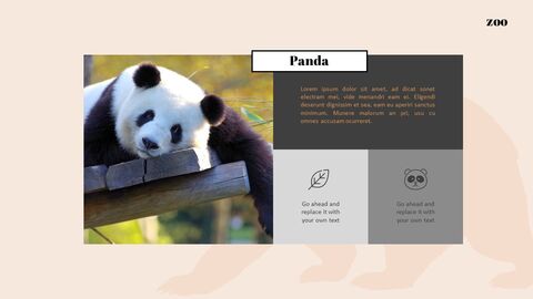 Zoo Google Slides Templates for Your Next Presentation