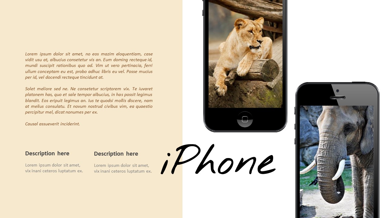 Zoo Google Slides Templates for Your Next Presentation