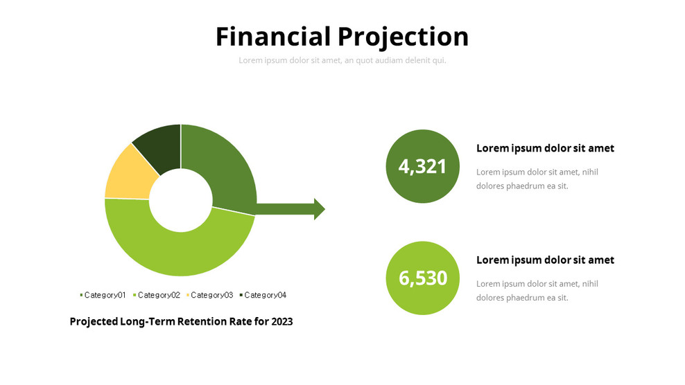 Budget Allocation and Growth Plan – Free Financial Strategy Slide