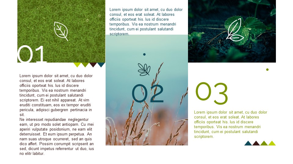 Eco Friendly Life Google Slides Templates|Nature
