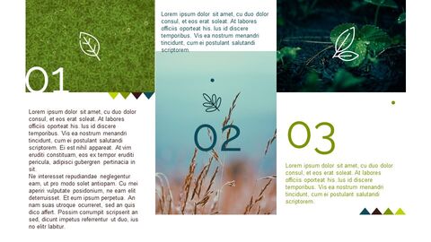 Eco Friendly Life Google Slides Templates|Nature