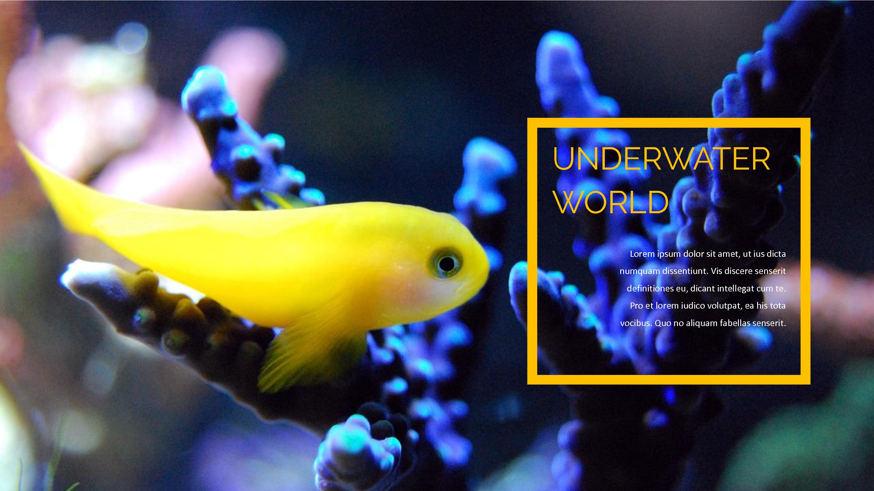 Underwater World Google Slides Templates