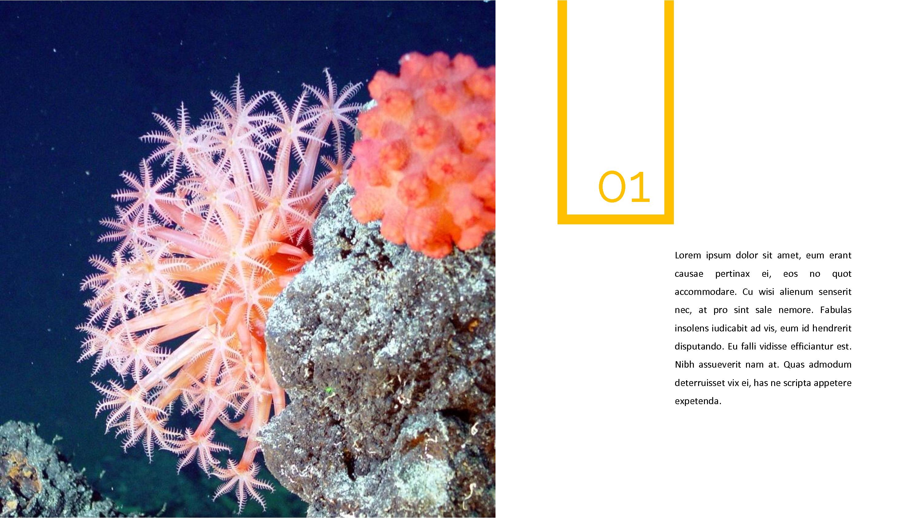 Underwater World Google Slides Templates