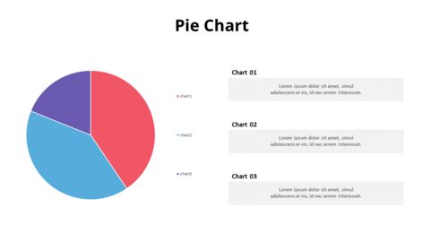 Pie Graph with Text Boxes