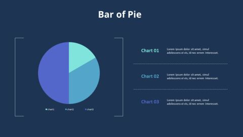 Pie Graph with Text Boxes