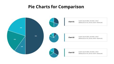 Three Pie Graphs with Explanation