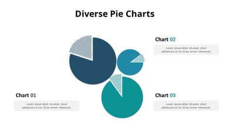 Three Pie Graphs with Explanation