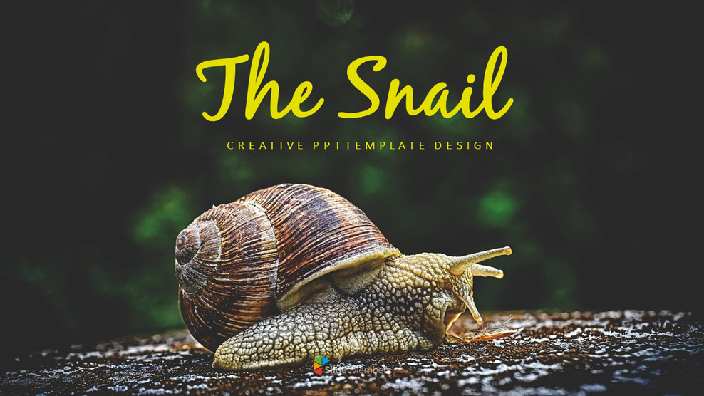 Snail Slide PPT