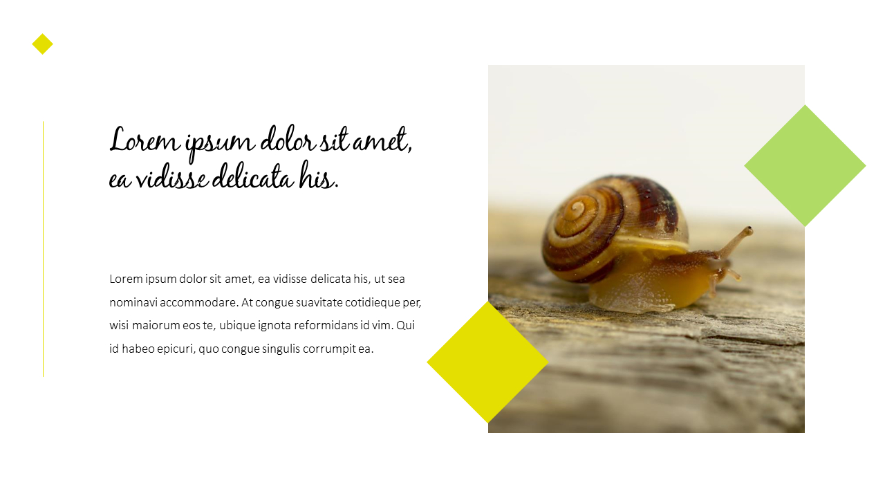 Snail Slide PPT