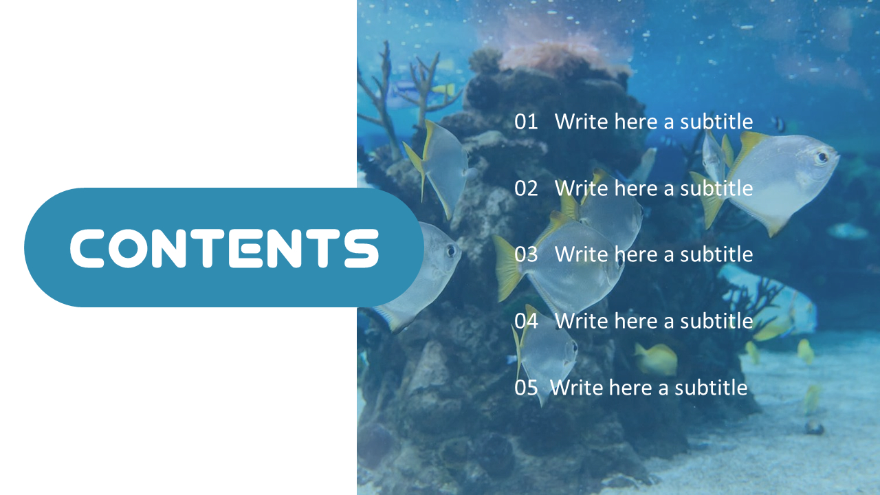 Contents Slide|Agenda|Single