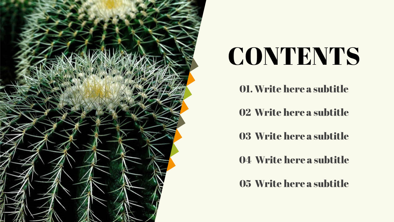 Simple Table of Contents Slide