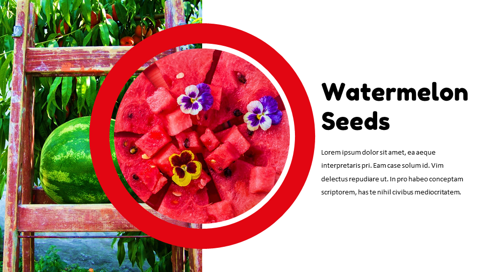 Watermelon Google Slides Themes & Templates