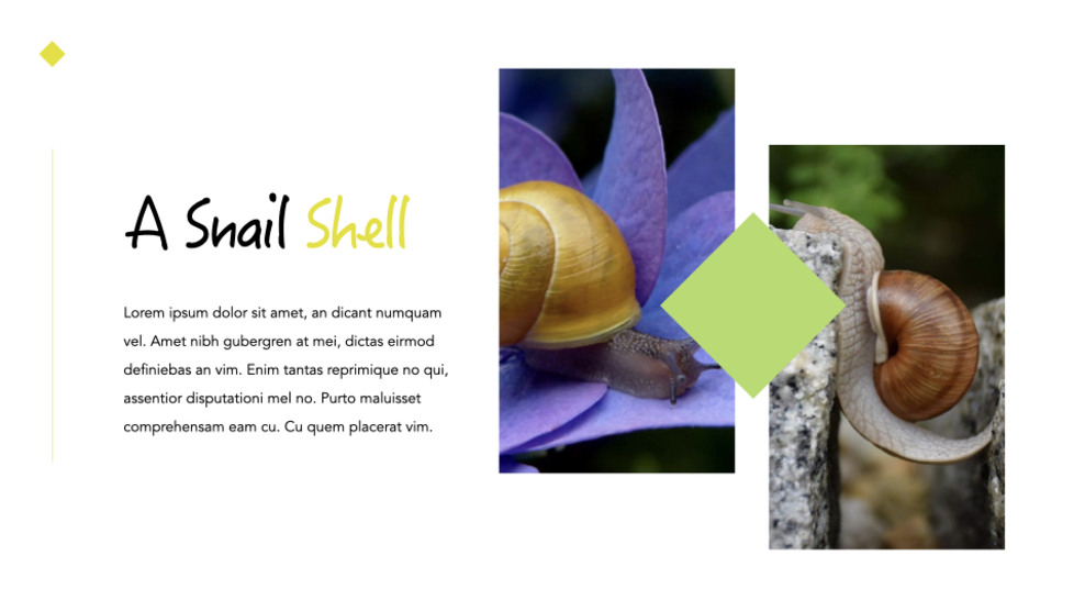 Snail Apple Keynote for Windows