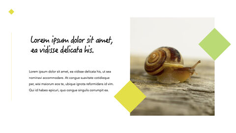 Snail Apple Keynote for Windows