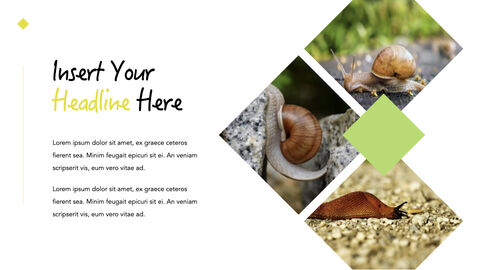 Snail Apple Keynote for Windows