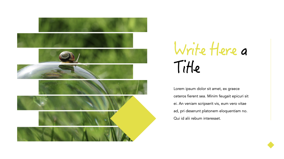 Snail Apple Keynote for Windows