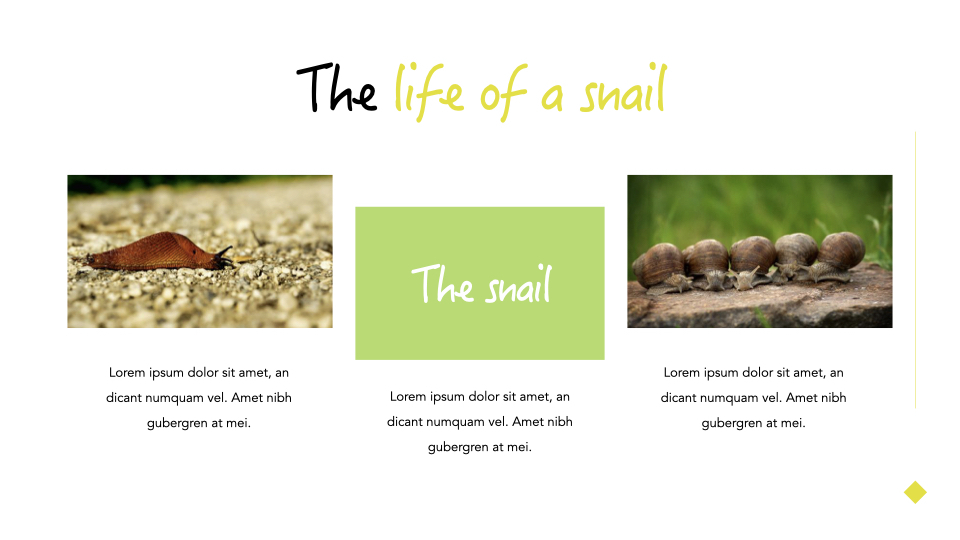 Snail Apple Keynote for Windows