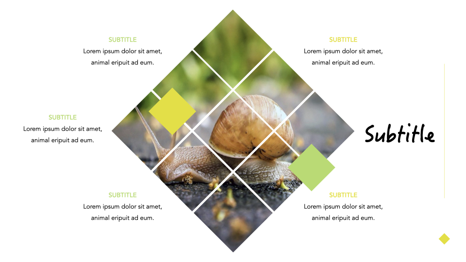 Snail Apple Keynote for Windows