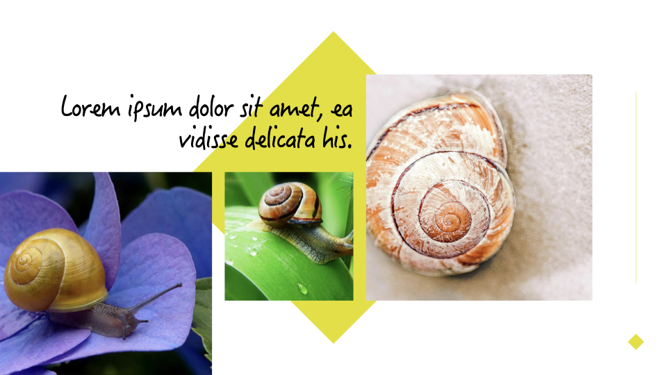 Snail Apple Keynote for Windows