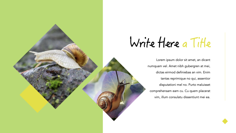 Snail Apple Keynote for Windows