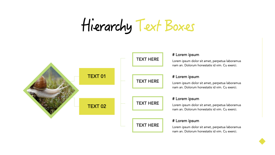 Snail Apple Keynote for Windows