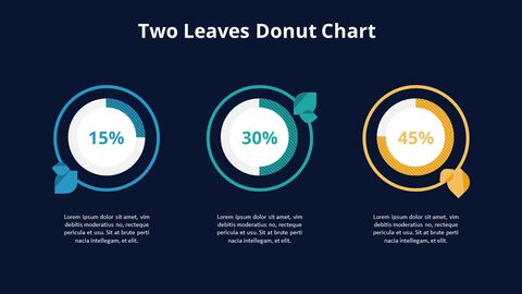 Three Steps Progress Donut Graph Chart Animated Slides
