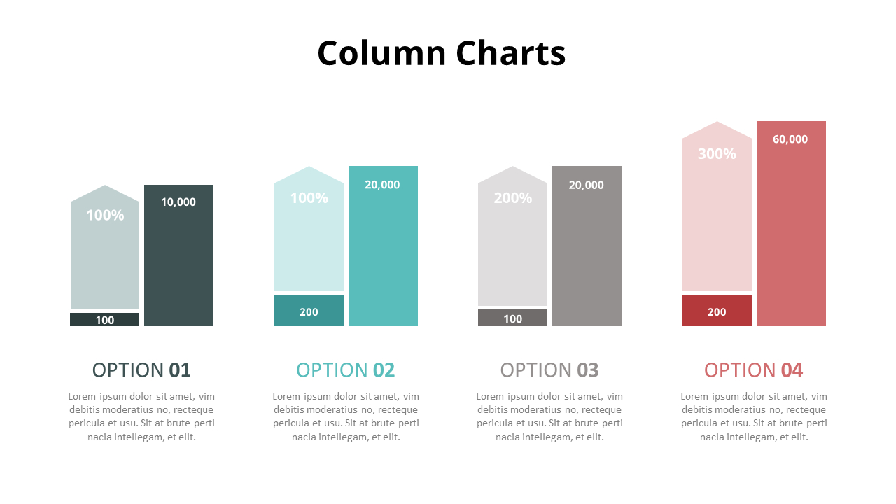 Various Types of Chart Infographic Animation Templates