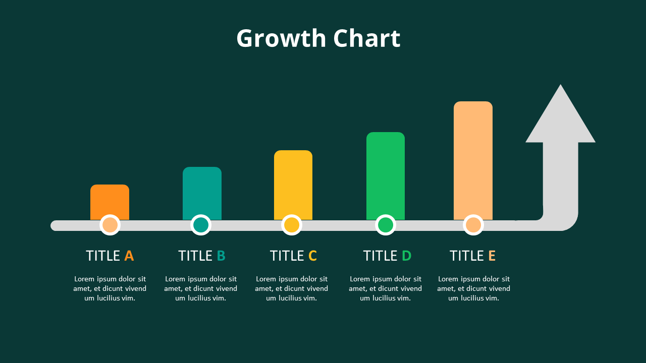 Various Types of Chart Infographic Animation Templates