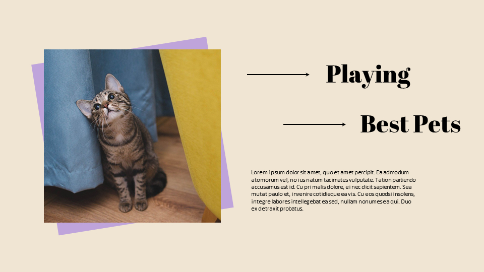 Raise a Cat Creative Google Slides|Animal