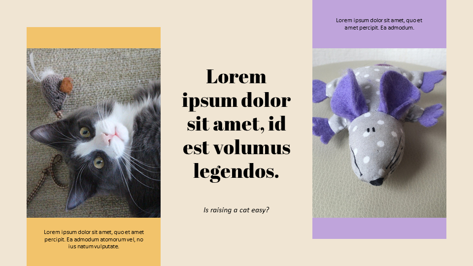 Raise a Cat Creative Google Slides|Animal