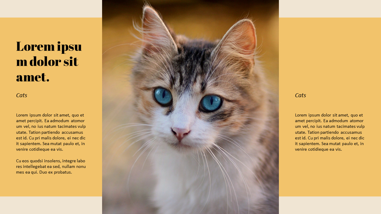 Raise a Cat Presentation