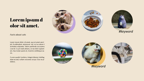 Raise a Cat Presentation