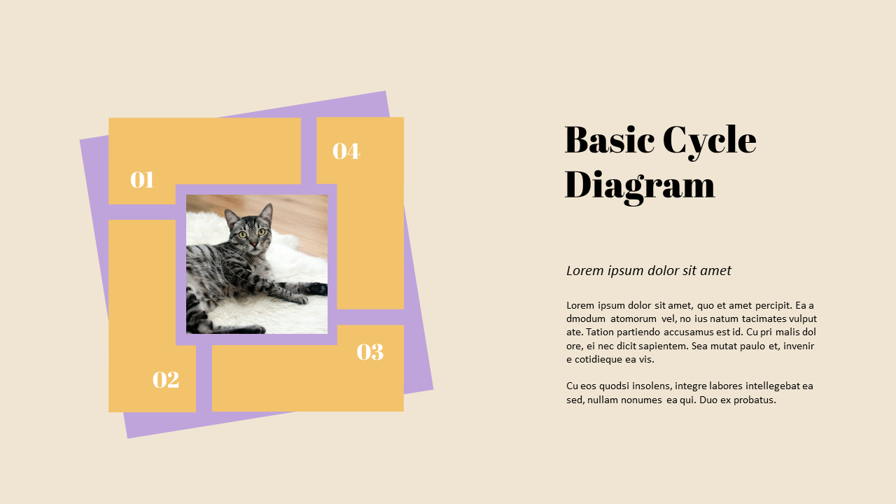 Raise a Cat Presentation