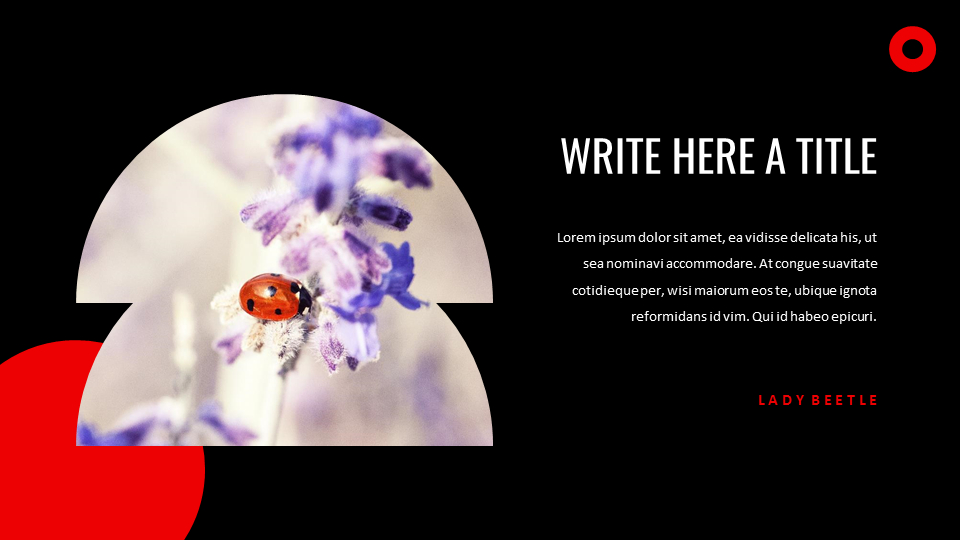 Ladybug Google presentation|Nature|Slides