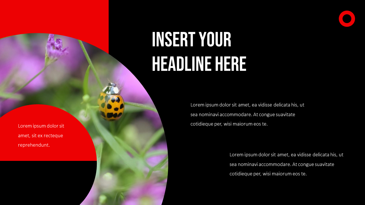 Ladybug Theme Presentation Templates