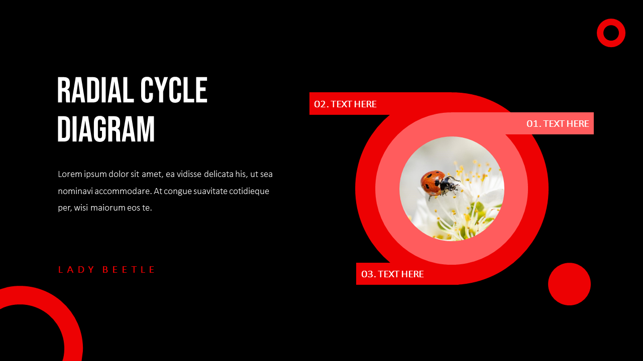 Ladybug Theme Presentation Templates