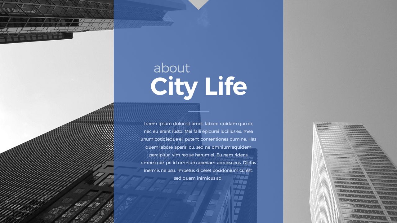 City Life Business Strategy PPT