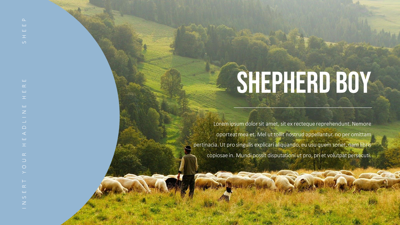 Sheep Best PowerPoint Templates