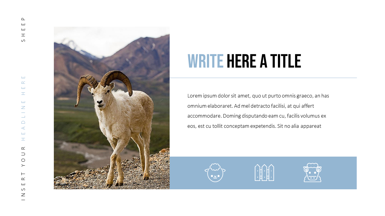 Sheep Best PowerPoint Templates