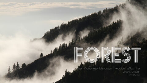 Forest|Theme Slides|Diagram