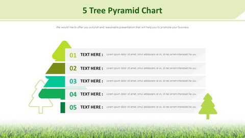 5 Tree Pyramid Chart Diagram