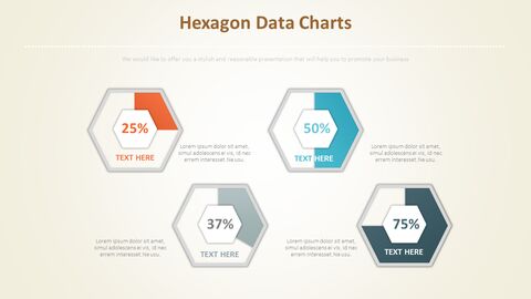 Hexagon Data Charts Diagram