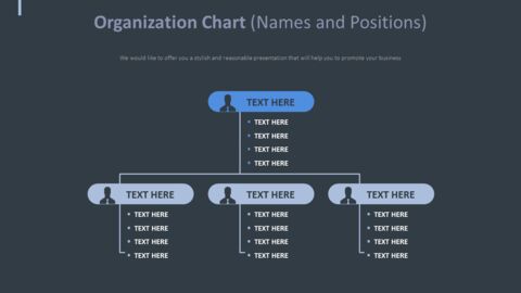 Organization Chart Diagram (Names and Positions)