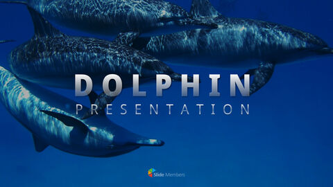Dolphin PowerPoint Templates Multipurpose Design