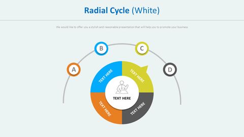 Radial Cycle Diagram (White)