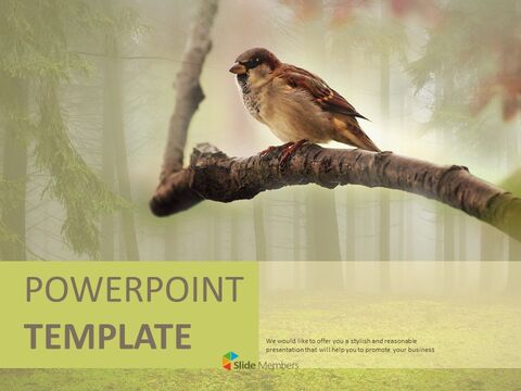 Free Powerpoint Sample - Sparrows in Forests