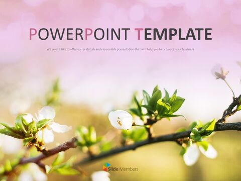 spring powerpoint year 1