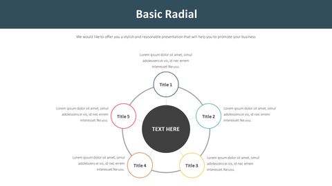 Basic Radial Diagram
